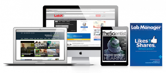 LabX Media Group | A DIVERSIFIED GLOBAL MEDIA COMPANY FOR THE ...